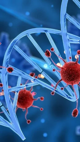 Thor UVC - Finsen Tech